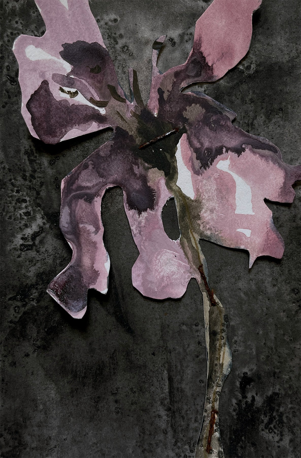 Smoke Signals | Amy Lauren Studio